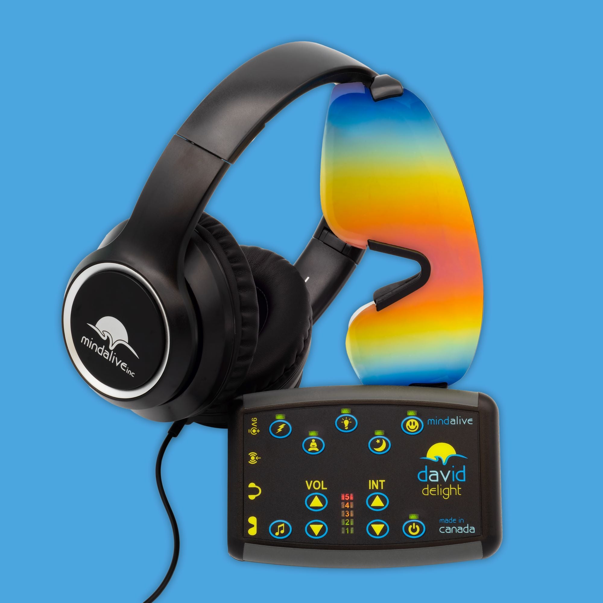 Using AVE for Academic Performance Interview with Krysta – Mind Alive Inc.